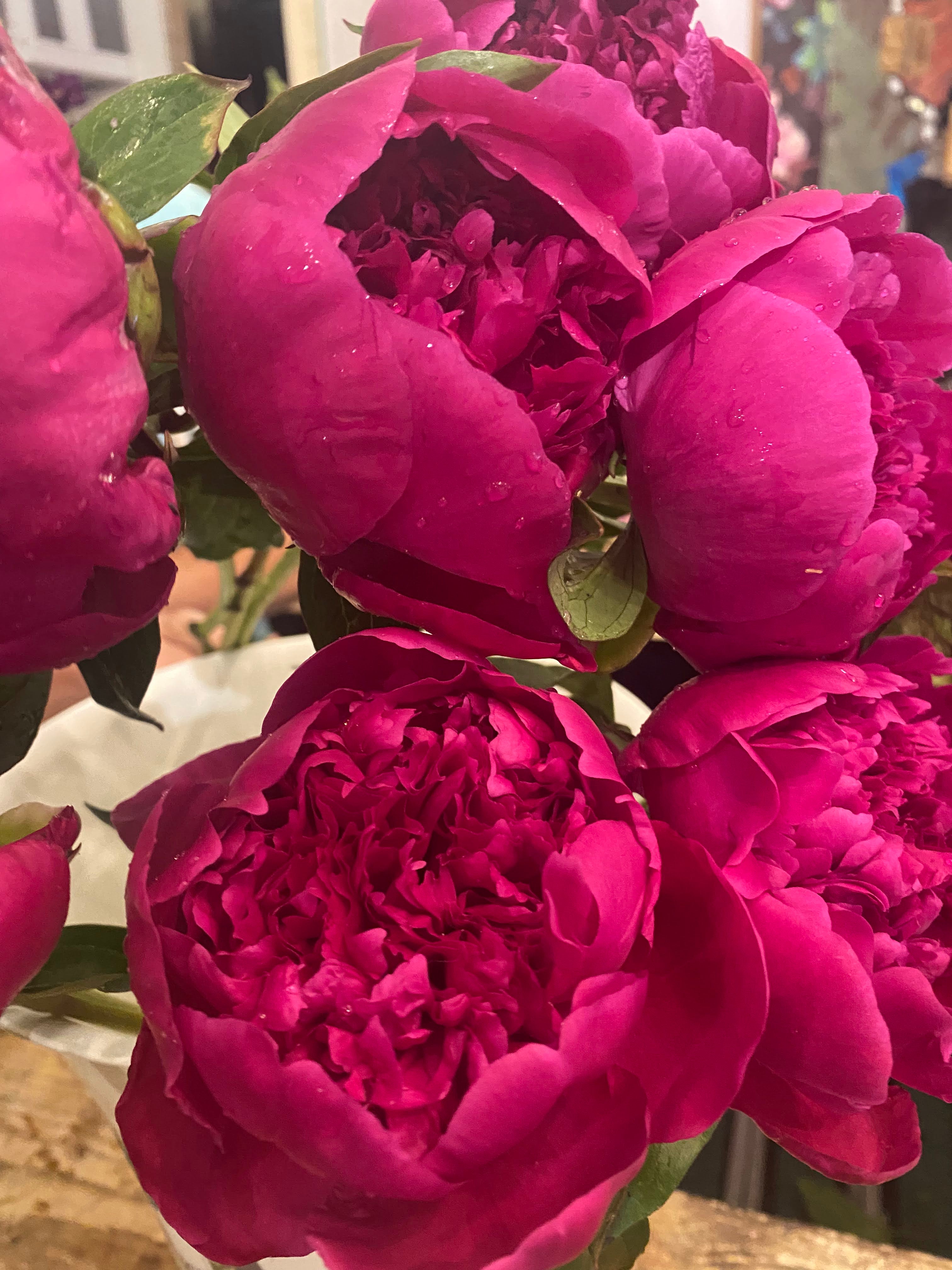 All Peony Bouquet – Adela Flora