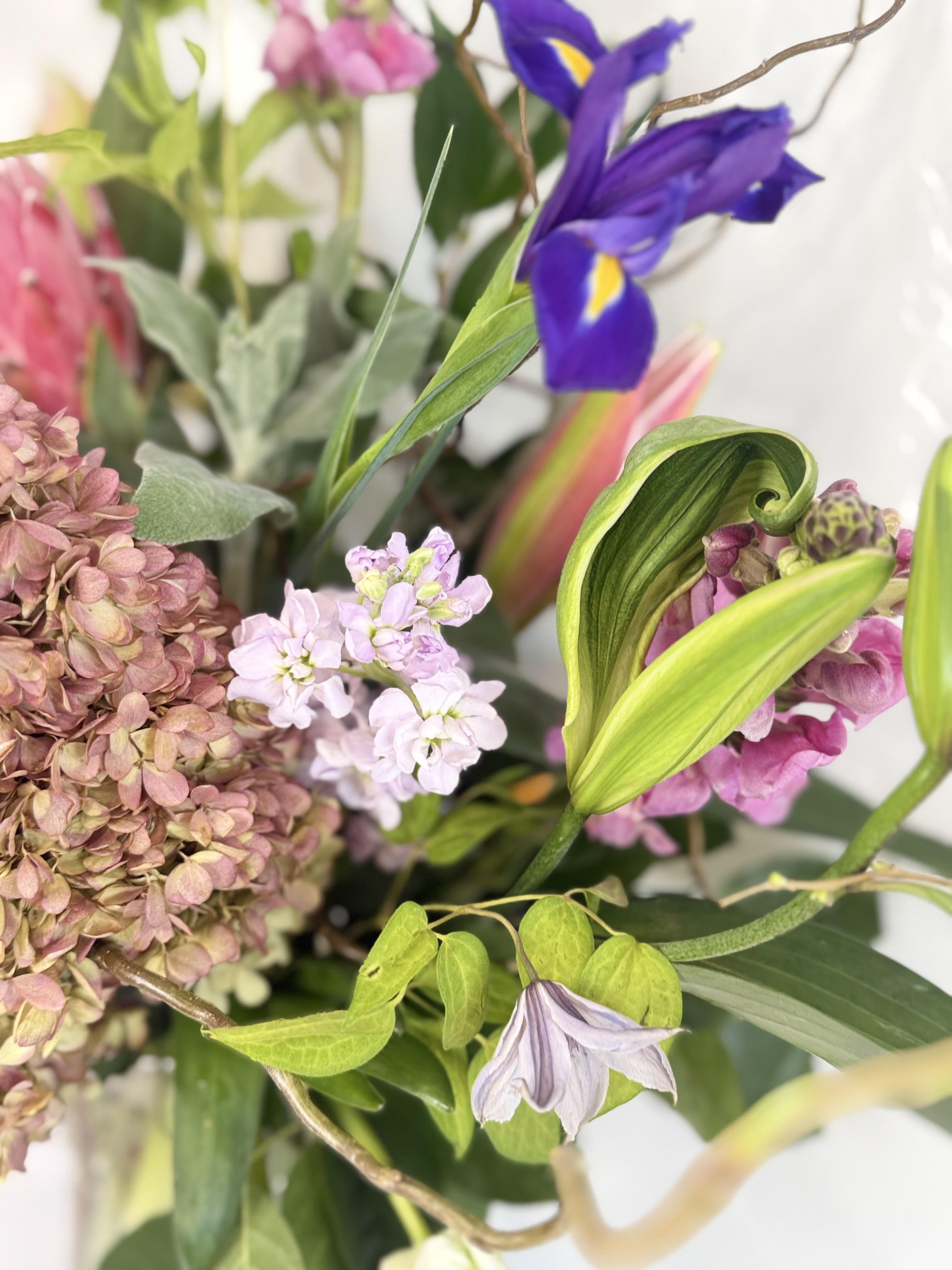 Petal passion – Adela Flora